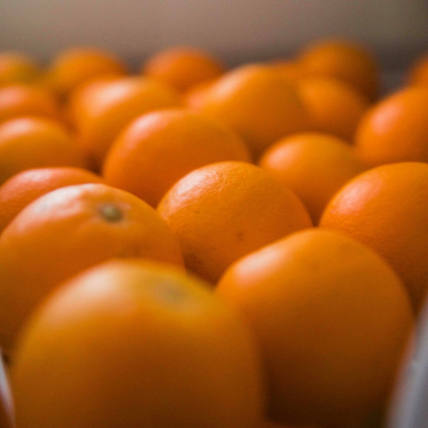 Registration Now Open for California Citrus Grower's Conference ...