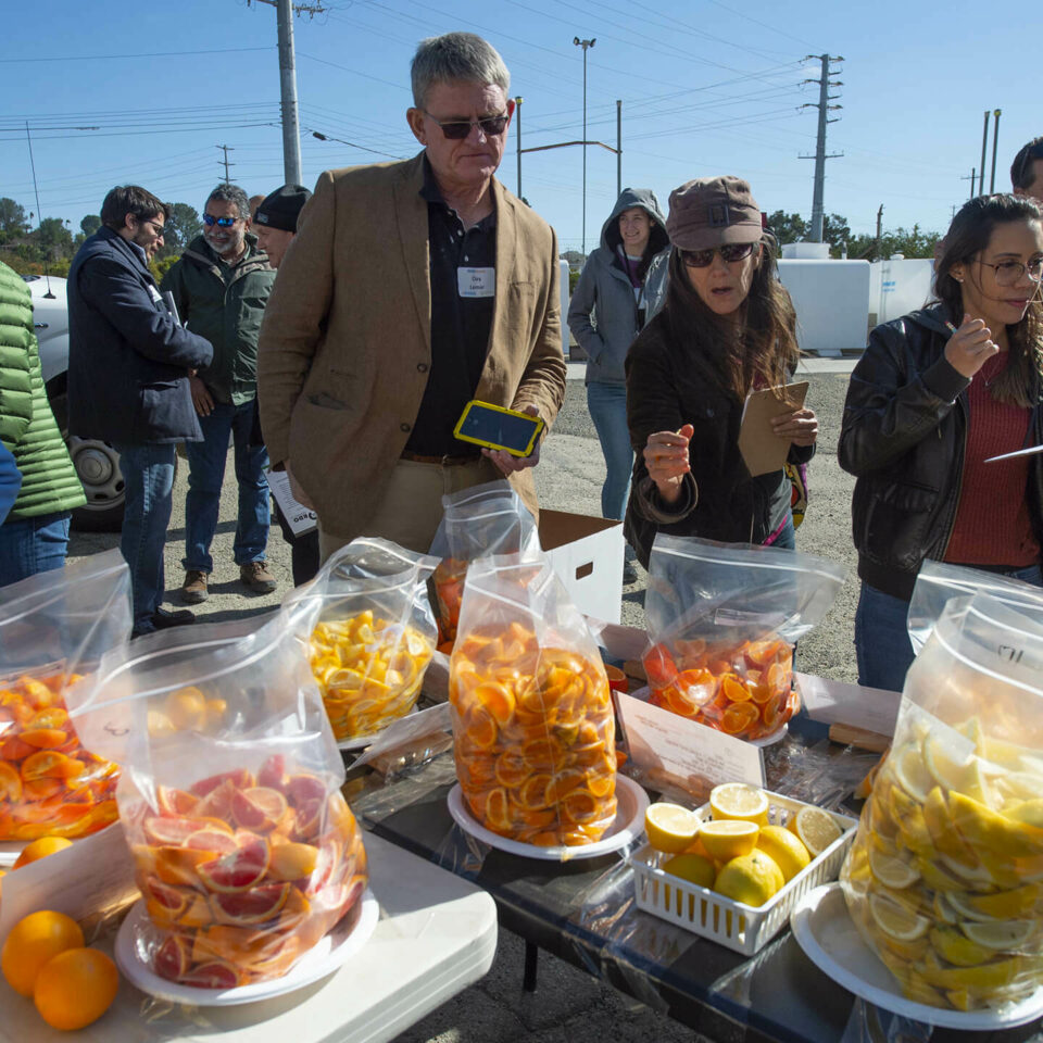 Join us for the UC Riverside Citrus Day for the Industry - Citrus ...